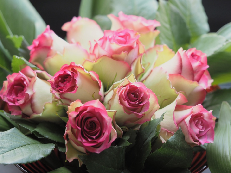 Flower arrangement... | pkln | Blipfoto