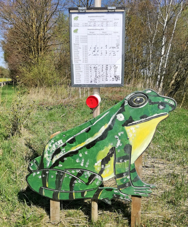 Frog crossing | schorschi | Blipfoto