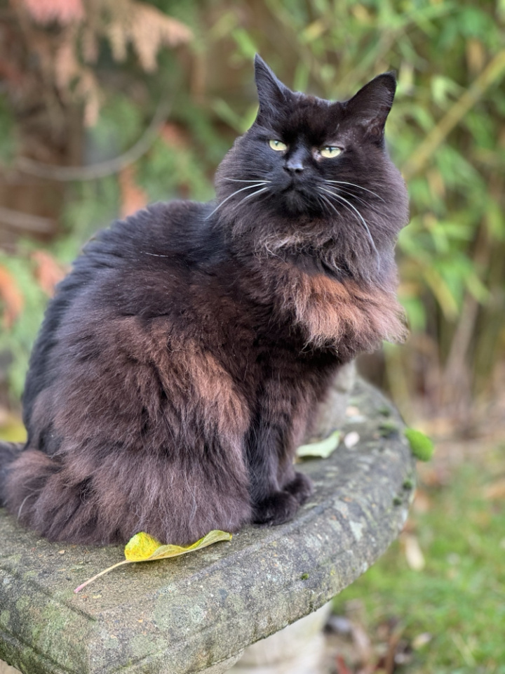 Ruby | pixelstate | Blipfoto