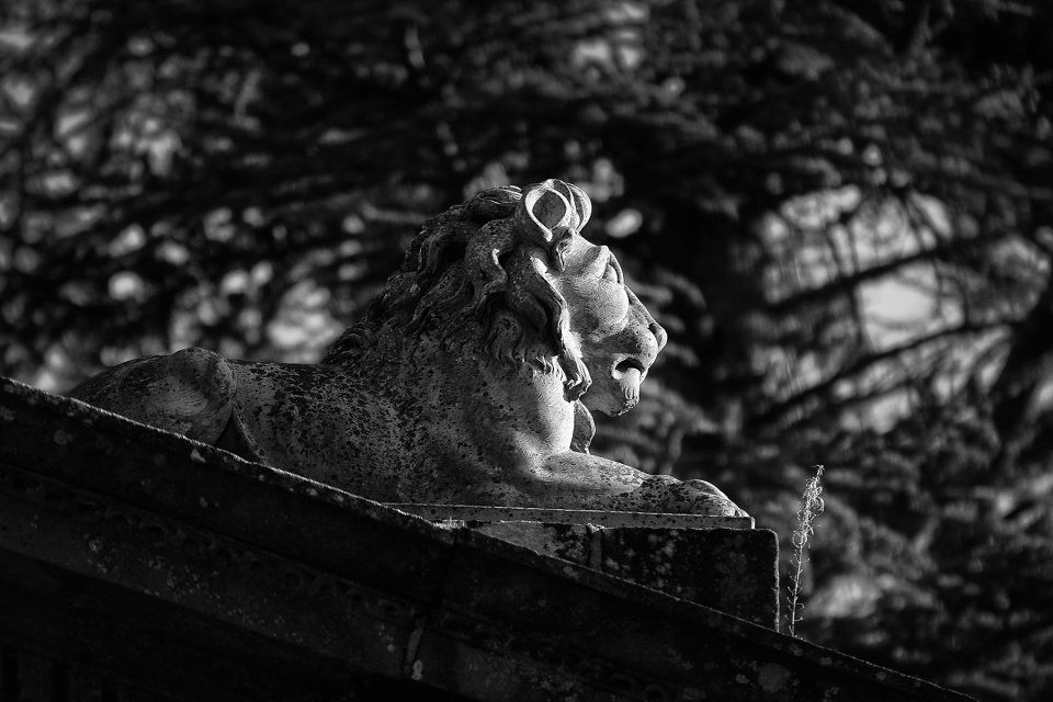 Basking | Inverculain | Blipfoto