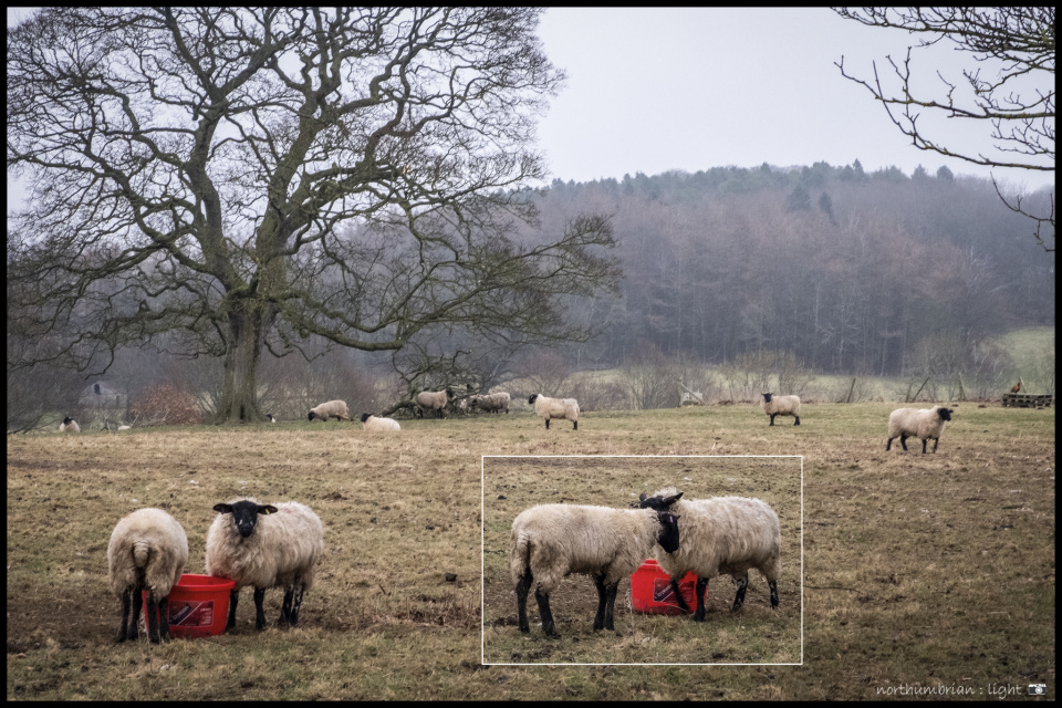 Inspecting ... | RobinDown | Blipfoto