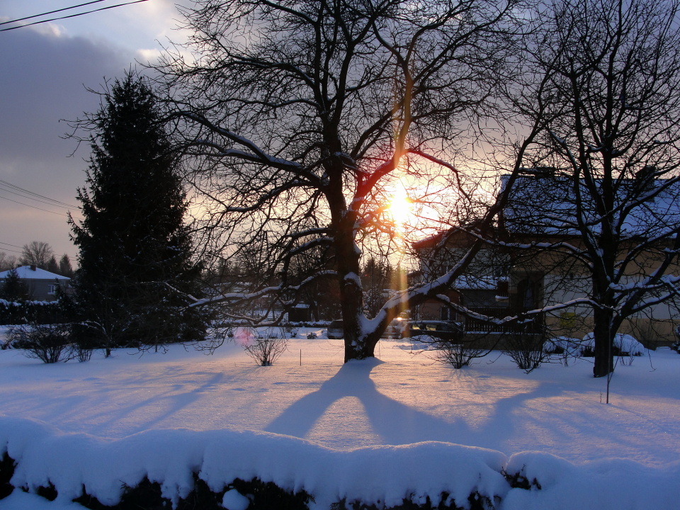Glow in the snow | Geebliping | Blipfoto