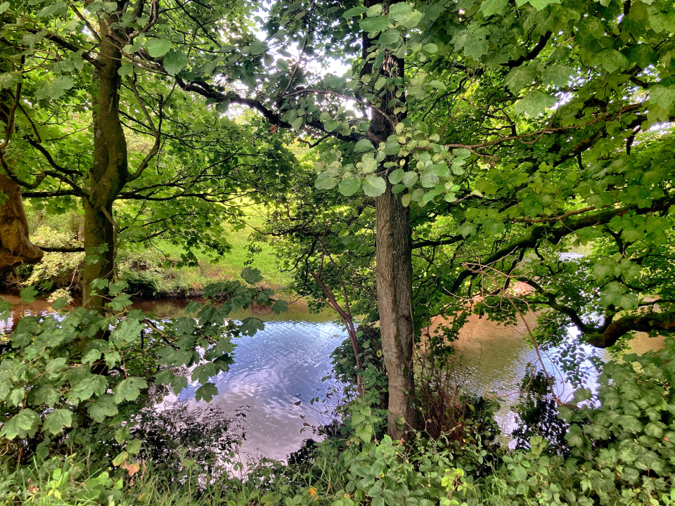 Down by the River | mambo | Blipfoto