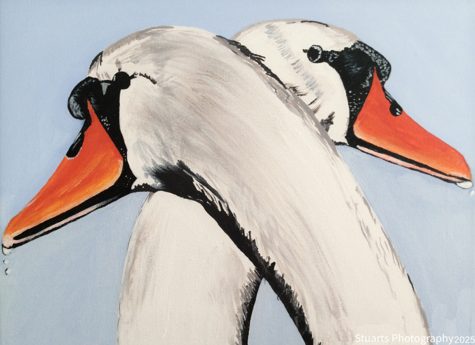 Swans (acrylic painting) | Stuart46 | Blipfoto