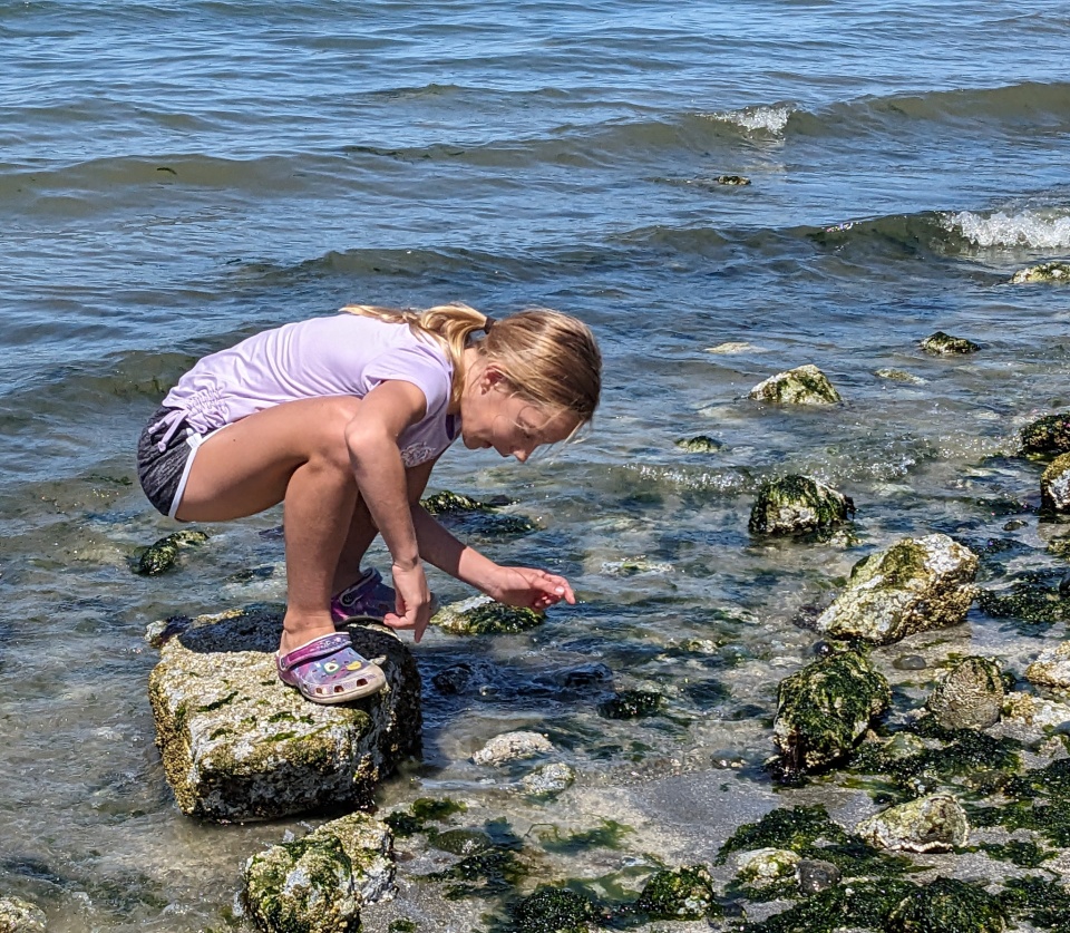 Sea Anemones | Carolina | Blipfoto