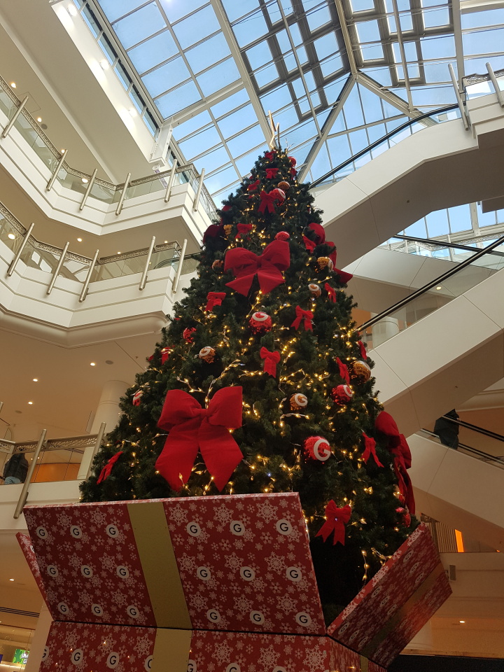 Shopping Mall Tree | Redberry | Blipfoto