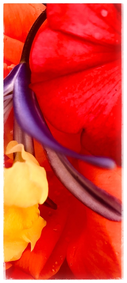 Colour strips | pixelpixie | Blipfoto