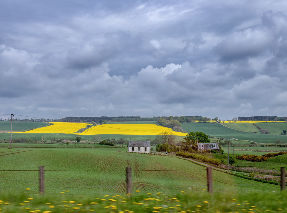 The Runner... | Damnonii | Blipfoto