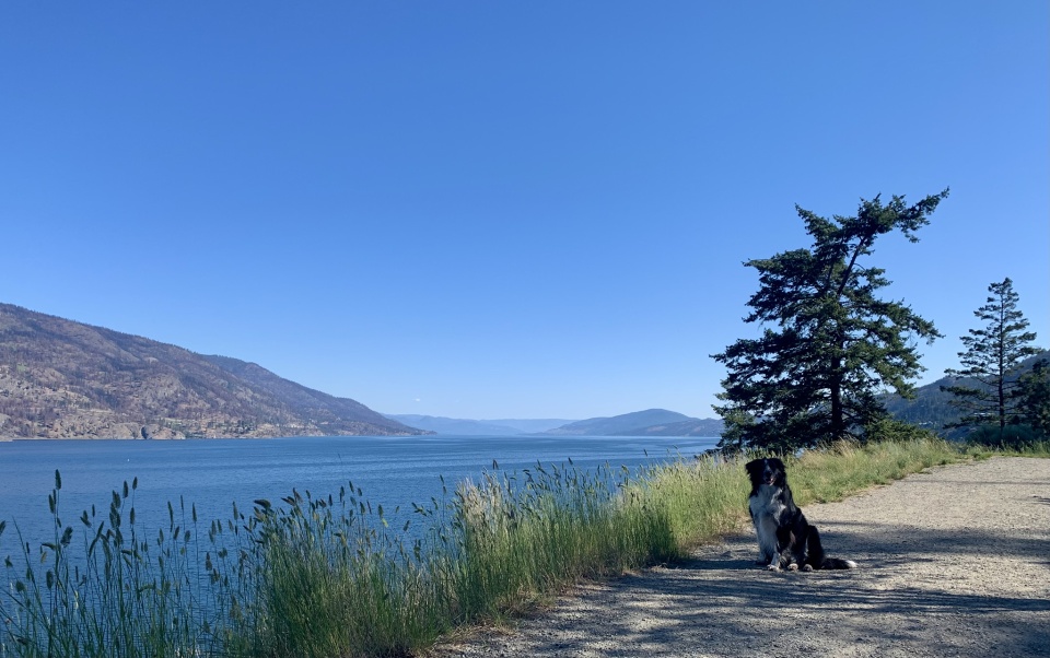 One of those mornings..:-) | Dunnie | Blipfoto