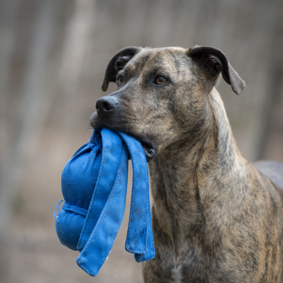 5,000 | dbifulco | Blipfoto