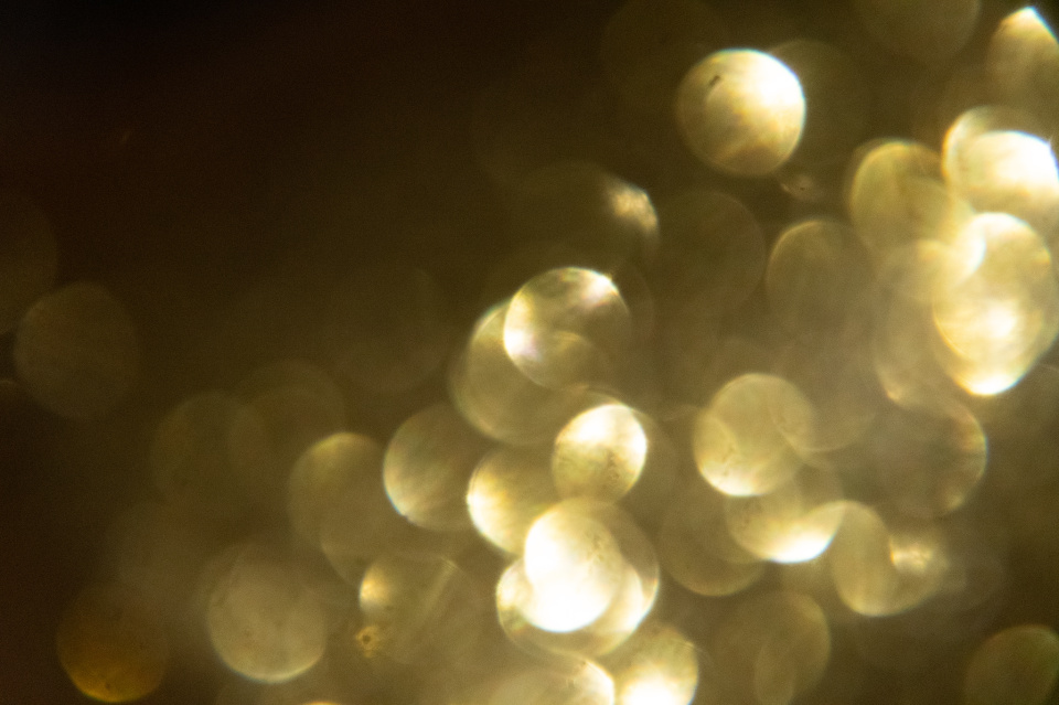 Gold | NMG | Blipfoto