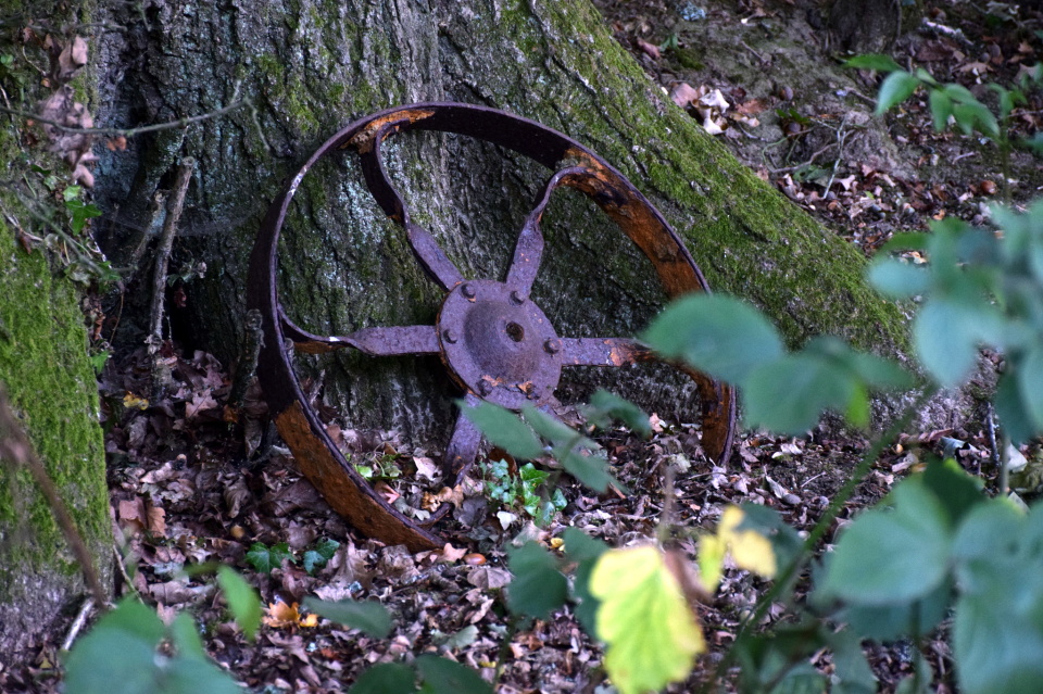 Rust | johndeere | Blipfoto