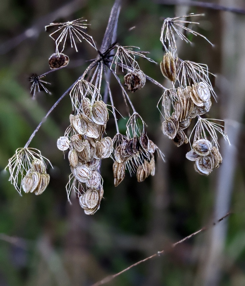 Sleety and cold | Yorkshirebred | Blipfoto