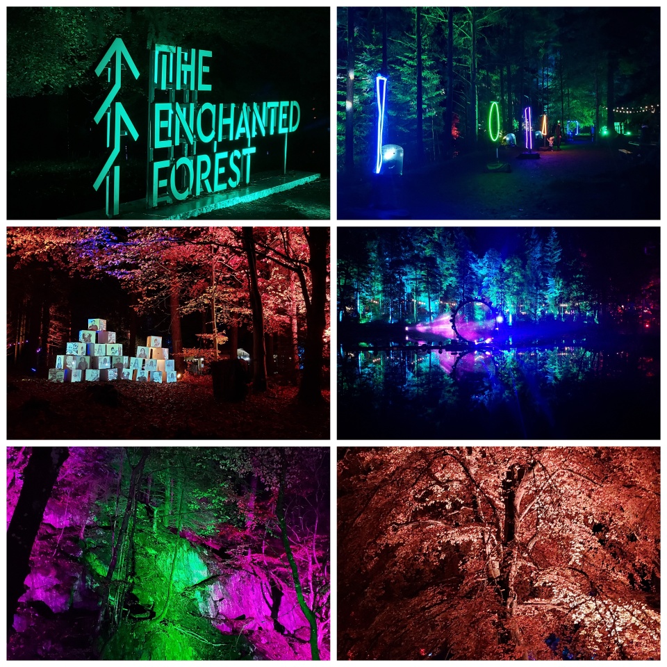 Light on. | snapper | Blipfoto