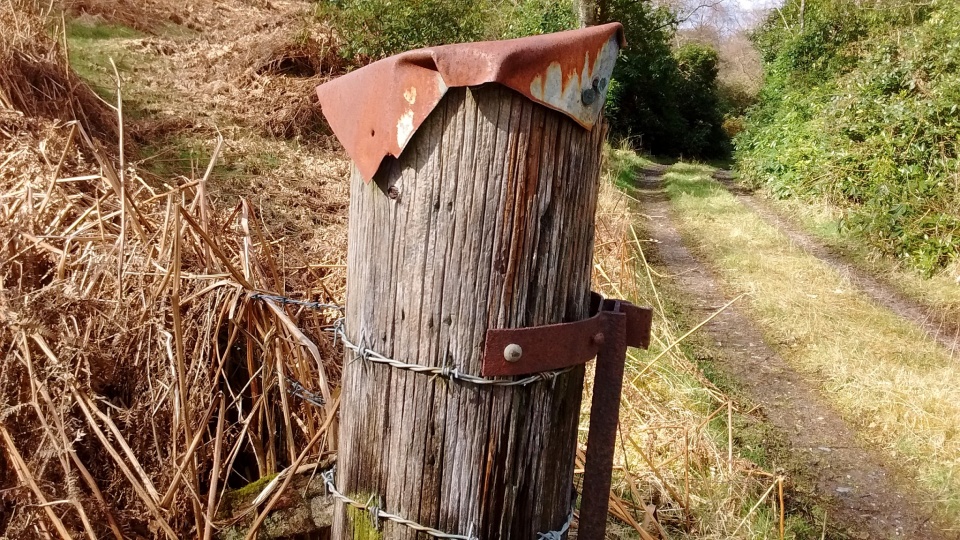 Rust and barbed wire | Freuchie | Blipfoto