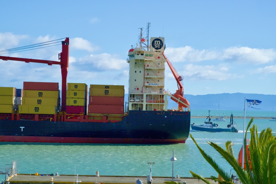 MSC Palatium III leaving... | AndrewNZ | Blipfoto