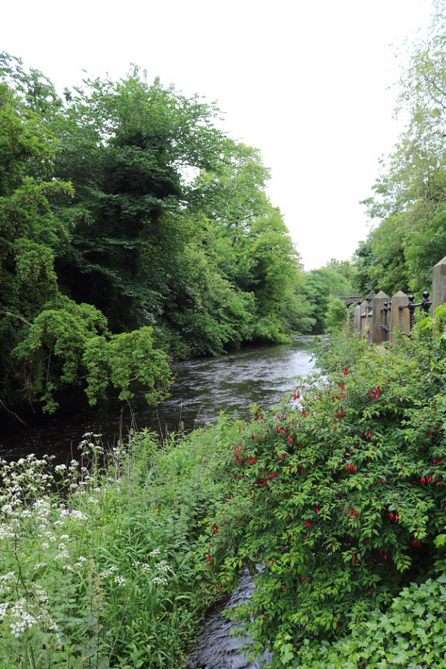 Lovely walk | Jaybay | Blipfoto