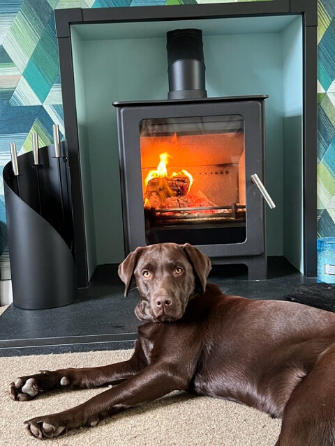 Yes? | Romay | Blipfoto