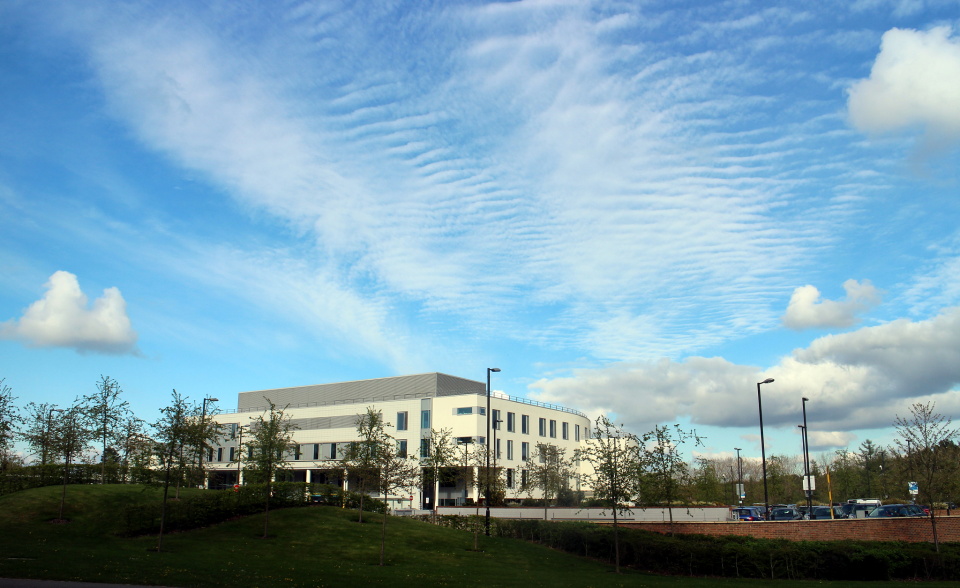 The new Pembury Hospital | Puffin | Blipfoto