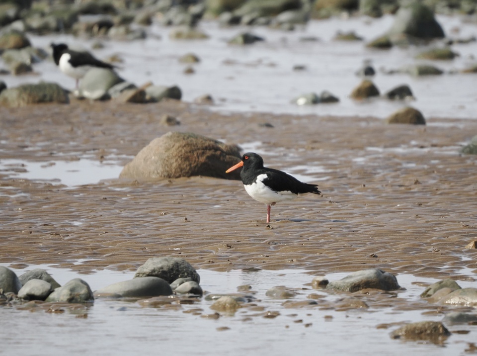 Allonby | Technophobe | Blipfoto