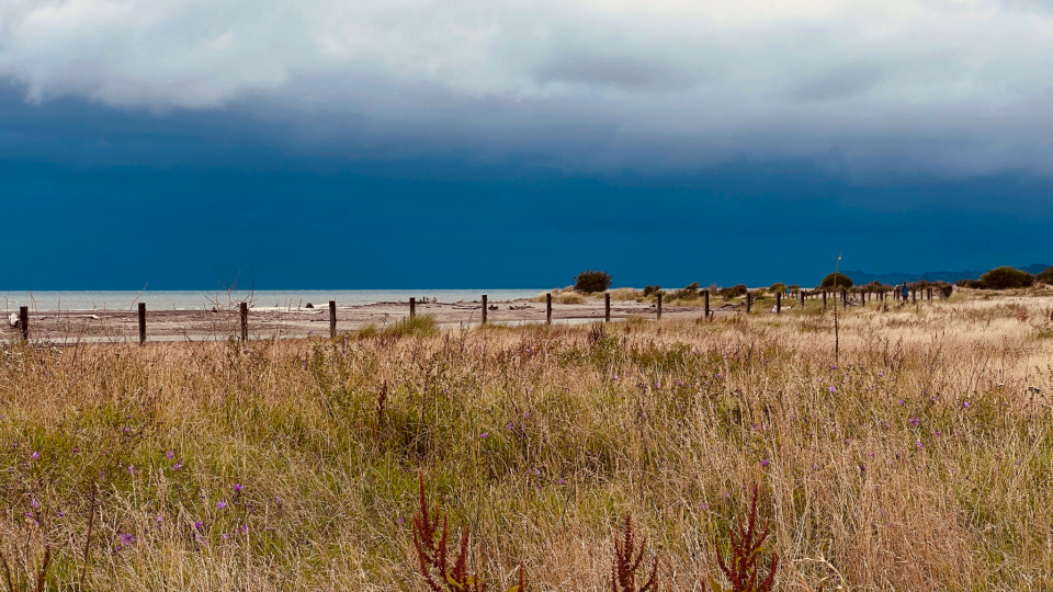 Storm... | Miffy | Blipfoto