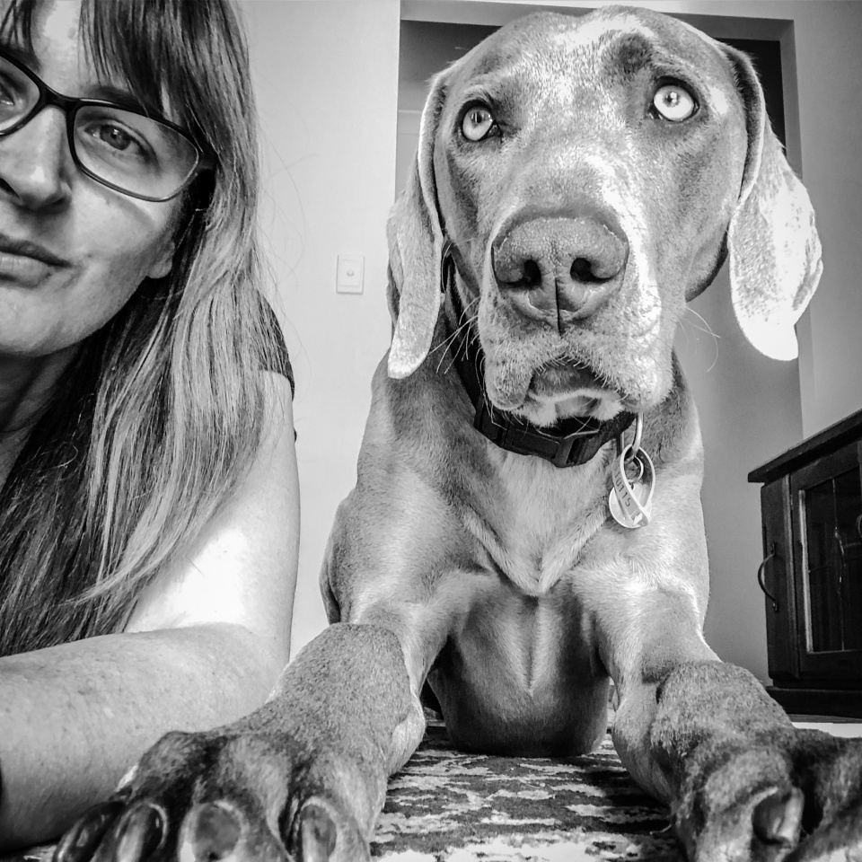 Hot dog | Barking | Blipfoto