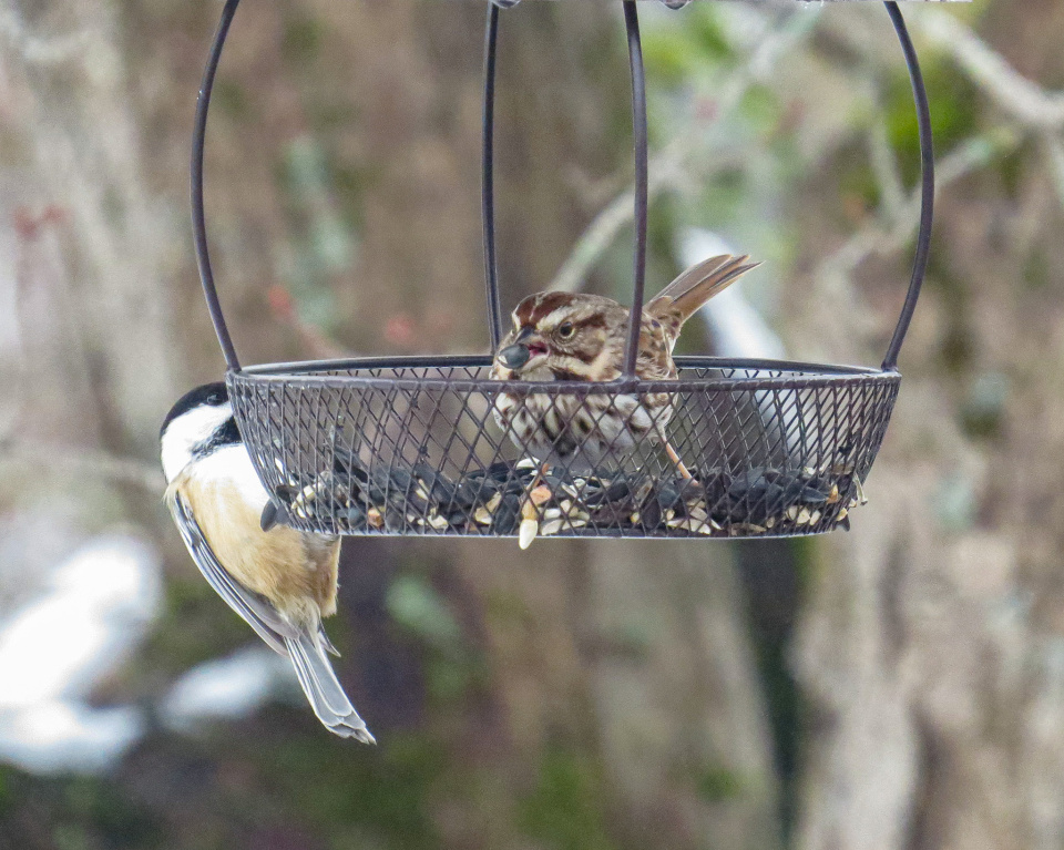 Sharing | KathyH58 | Blipfoto