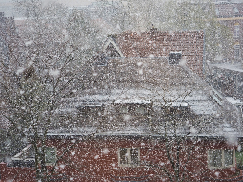 View.... | pkln | Blipfoto