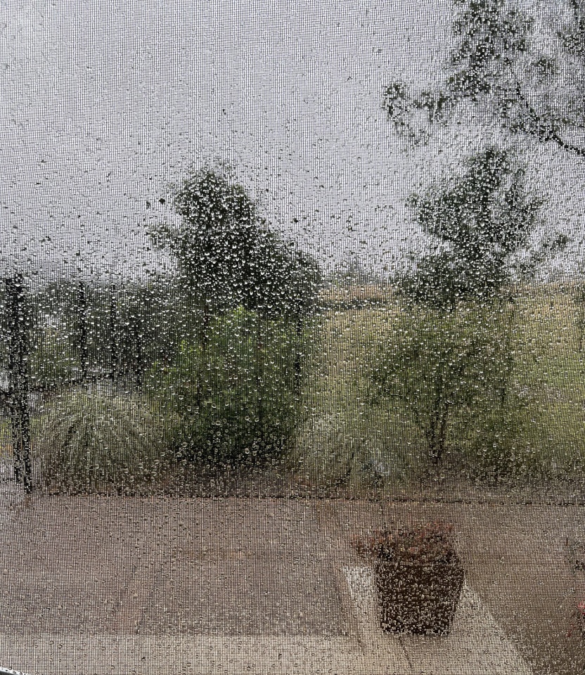 A Very Wet Day | Wildwood | Blipfoto