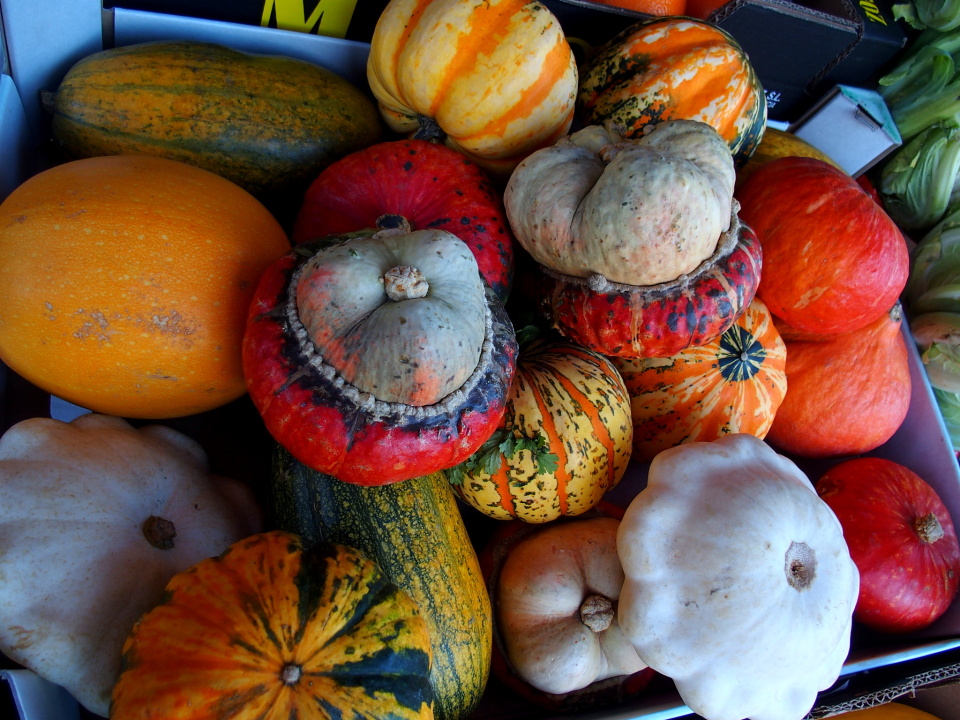 A bit of a squash! | Noni | Blipfoto