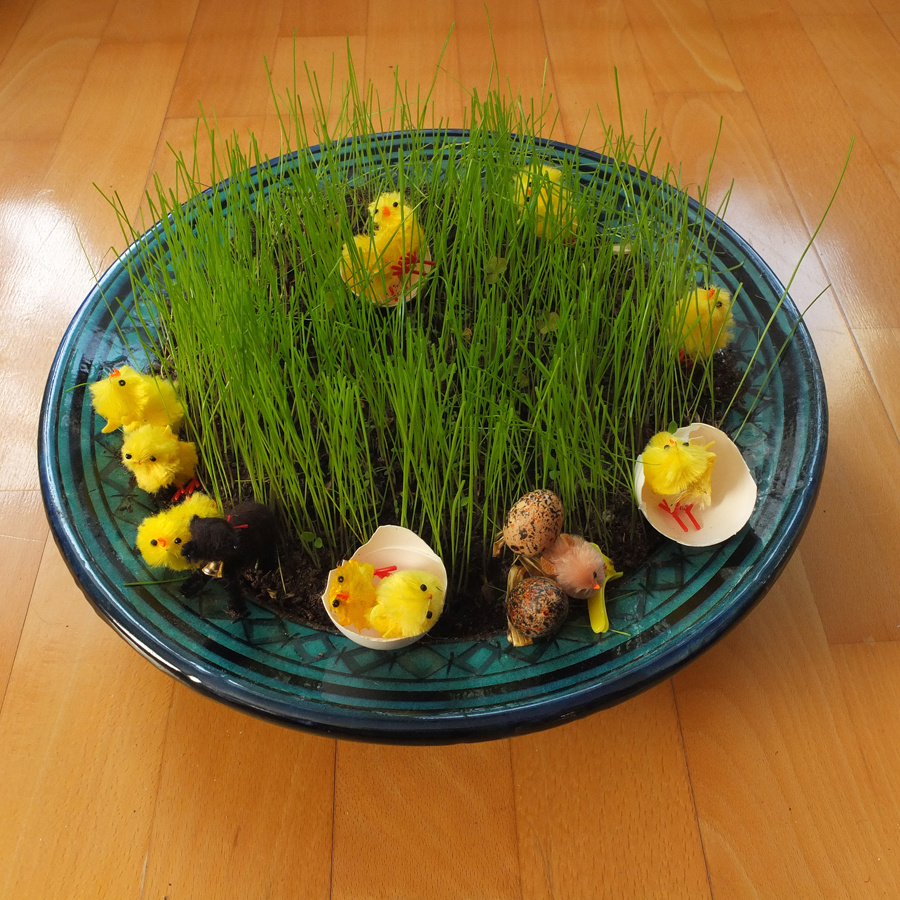 Easter | joesblips | Blipfoto