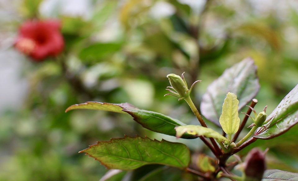 Tiny on tiny in nature | MoiraD | Blipfoto