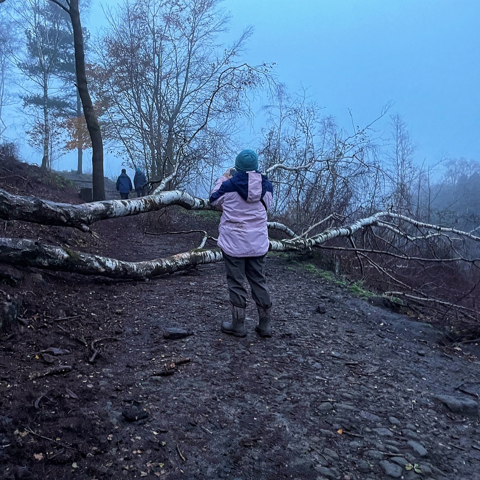 A Blipper Blipping | corinthian | Blipfoto