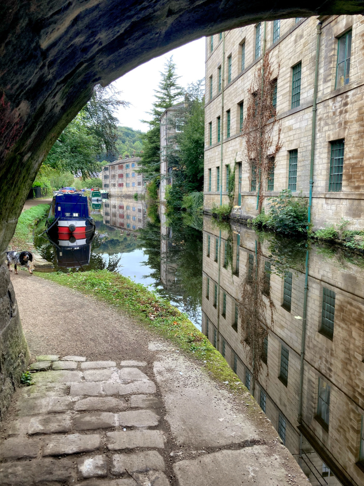 Mother Culture | mambo | Blipfoto