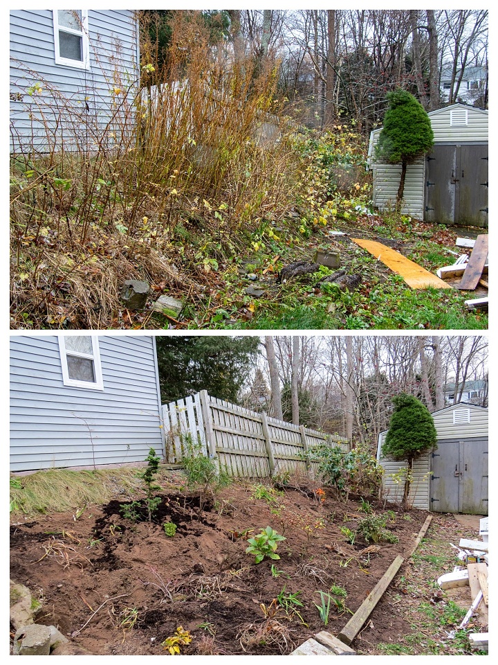 Back garden | KathyH58 | Blipfoto