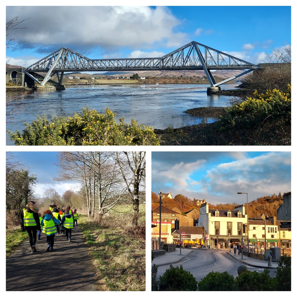 Long day! | snapper | Blipfoto