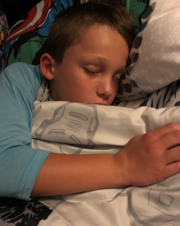 Bug A'Sleepin' | TurtleBug | Blipfoto