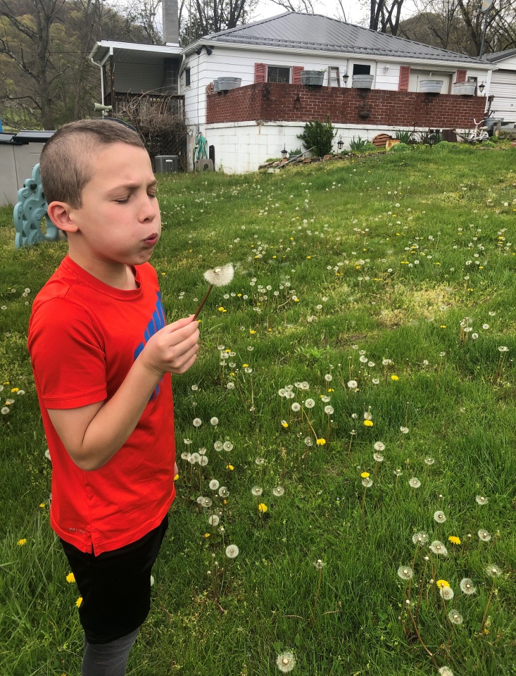 Make A Wish | TurtleBug | Blipfoto