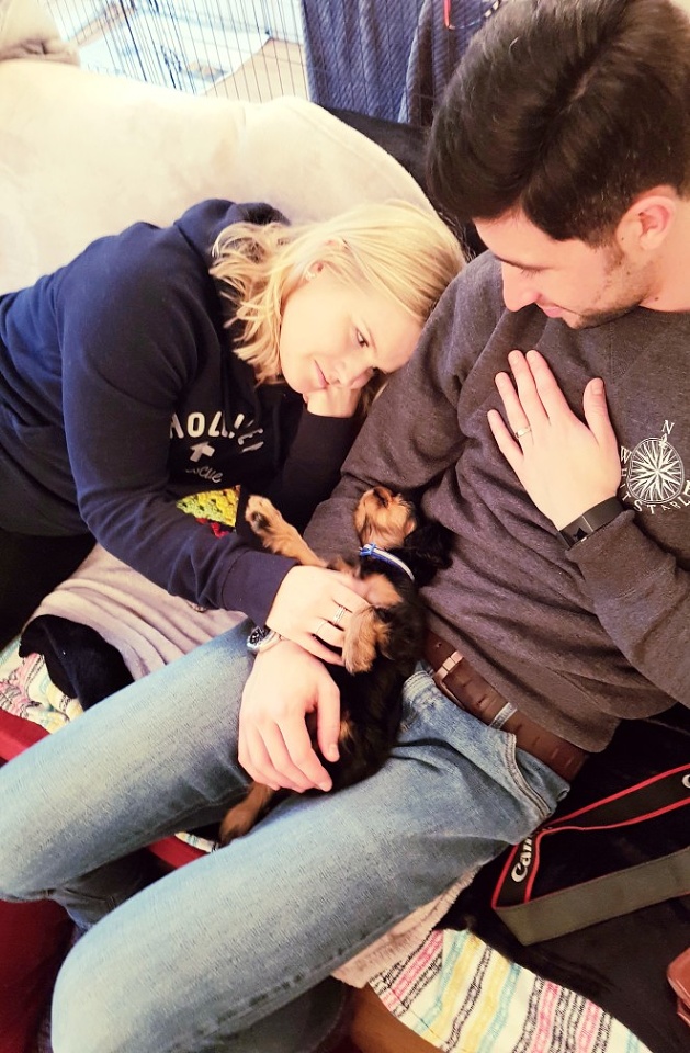 puppy love | spishy | Blipfoto