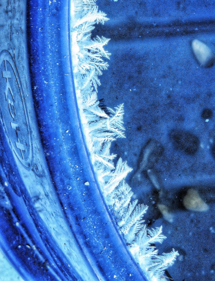 Frost Feathers | Memories4Me | Blipfoto