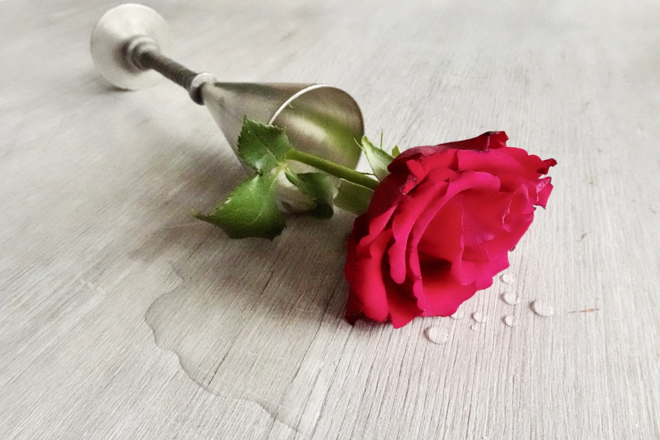 Oops! | heanku | Blipfoto