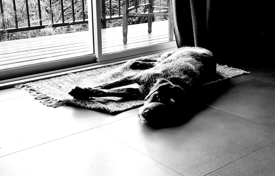 Low key Mono | howesruth | Blipfoto