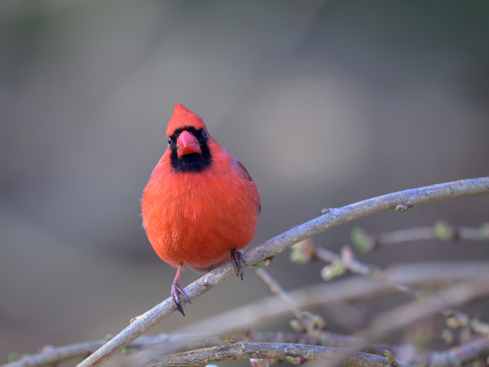 Back to Reality | dbifulco | Blipfoto