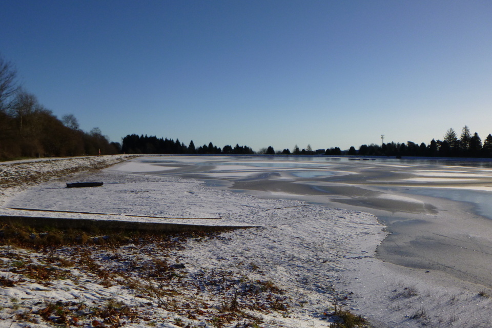 Round the reservoir | rat | Blipfoto