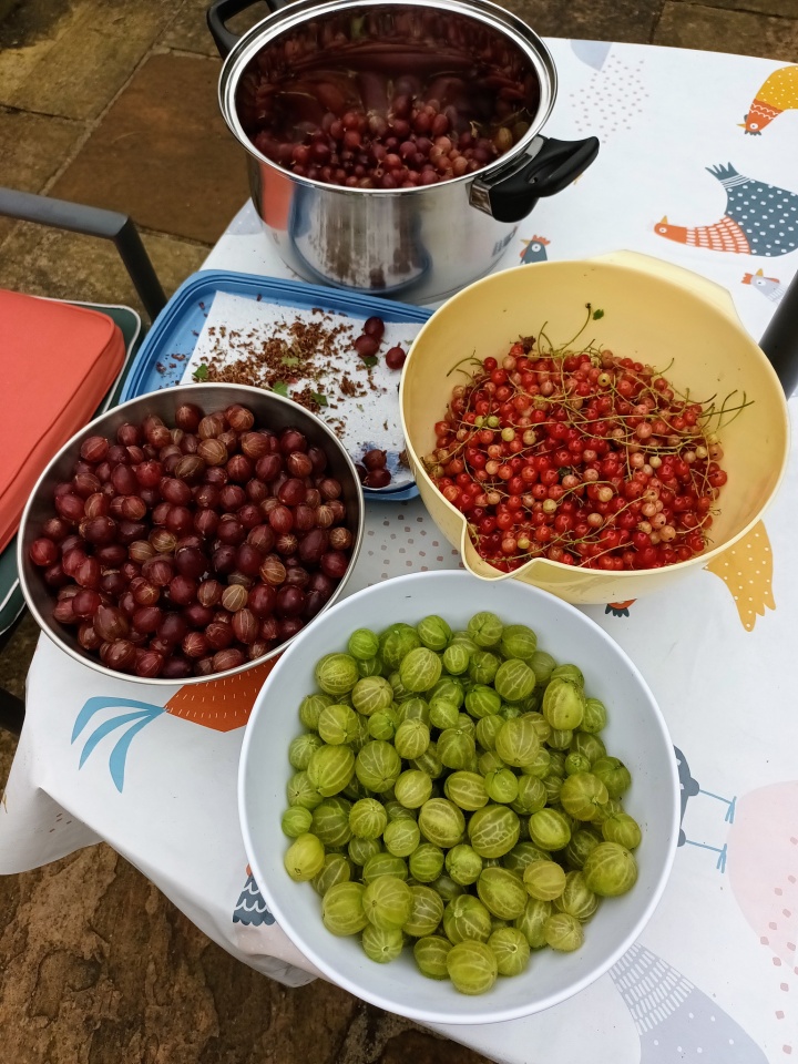 Topping And Tailing….!! | Annieone | Blipfoto