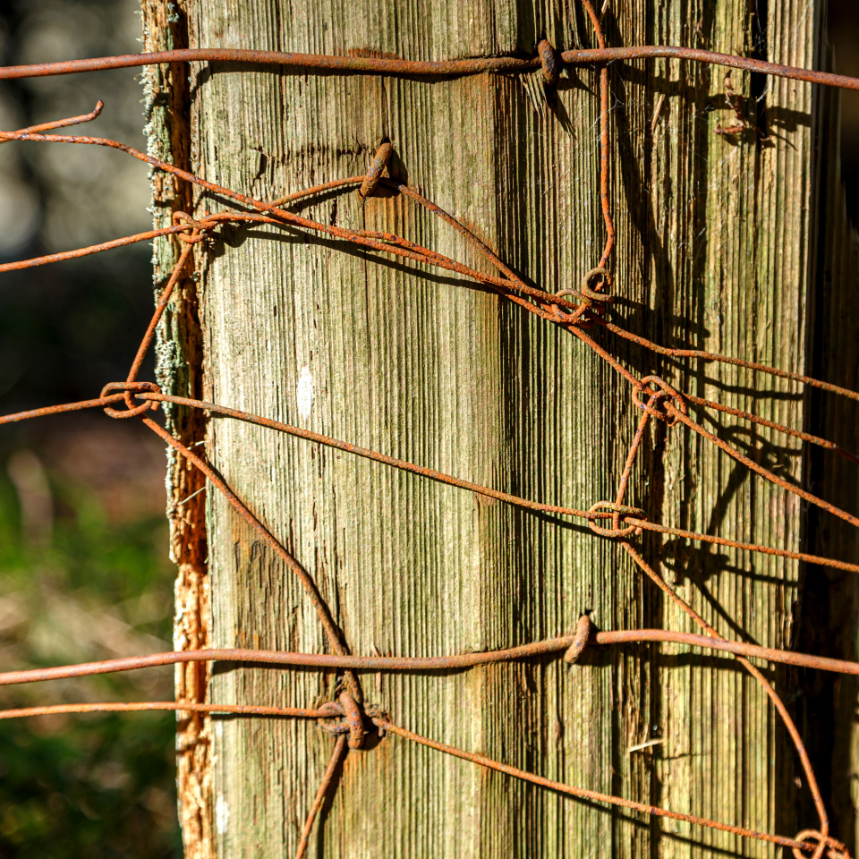 Barbed wire on an old fence post | Nanzy19 | Blipfoto
