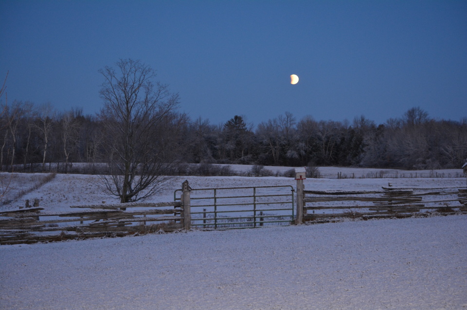 Waking up to a lunar eclipse | borders | Blipfoto