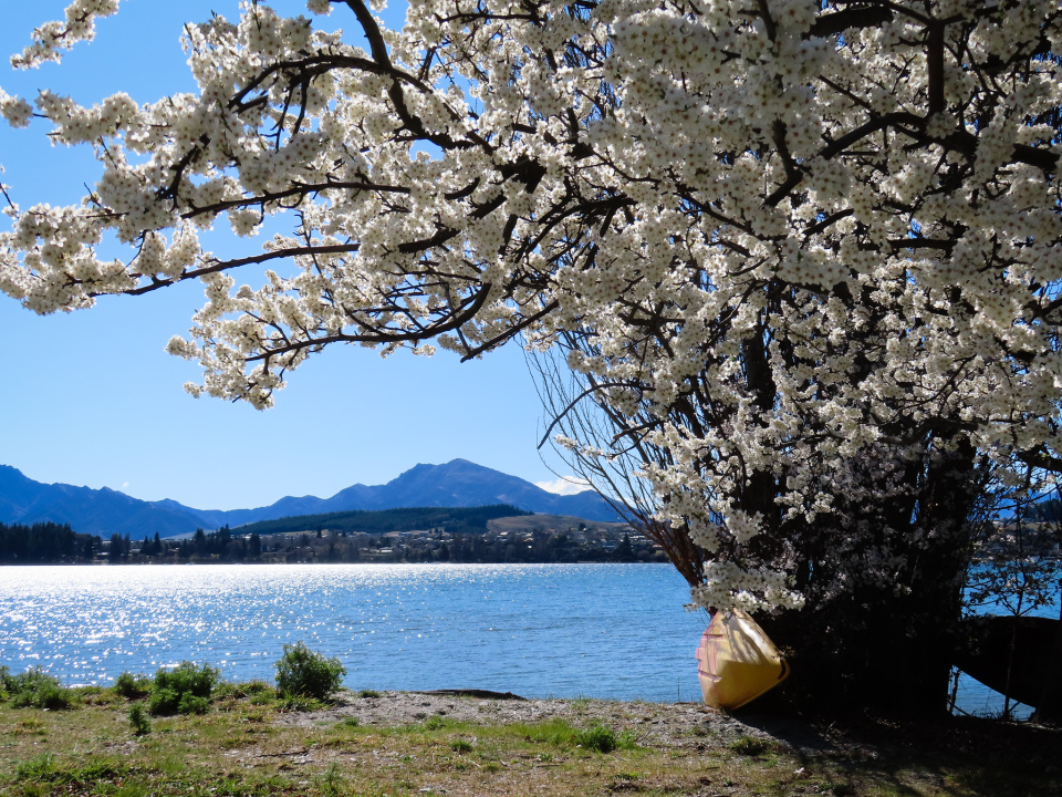 Looking at Mt Maude | acyclinggranny | Blipfoto