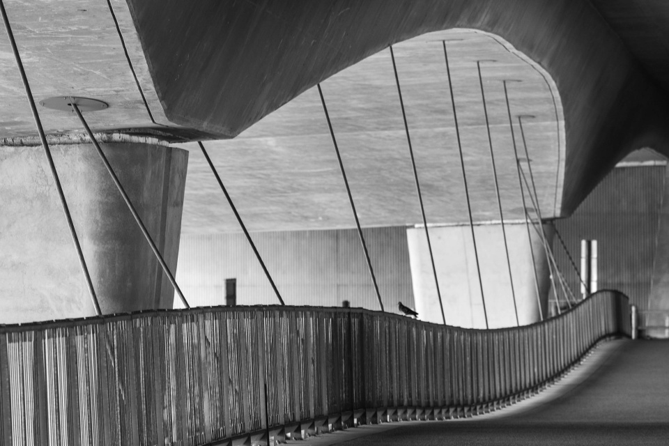 Bridge Patterns | rsdphotography | Blipfoto