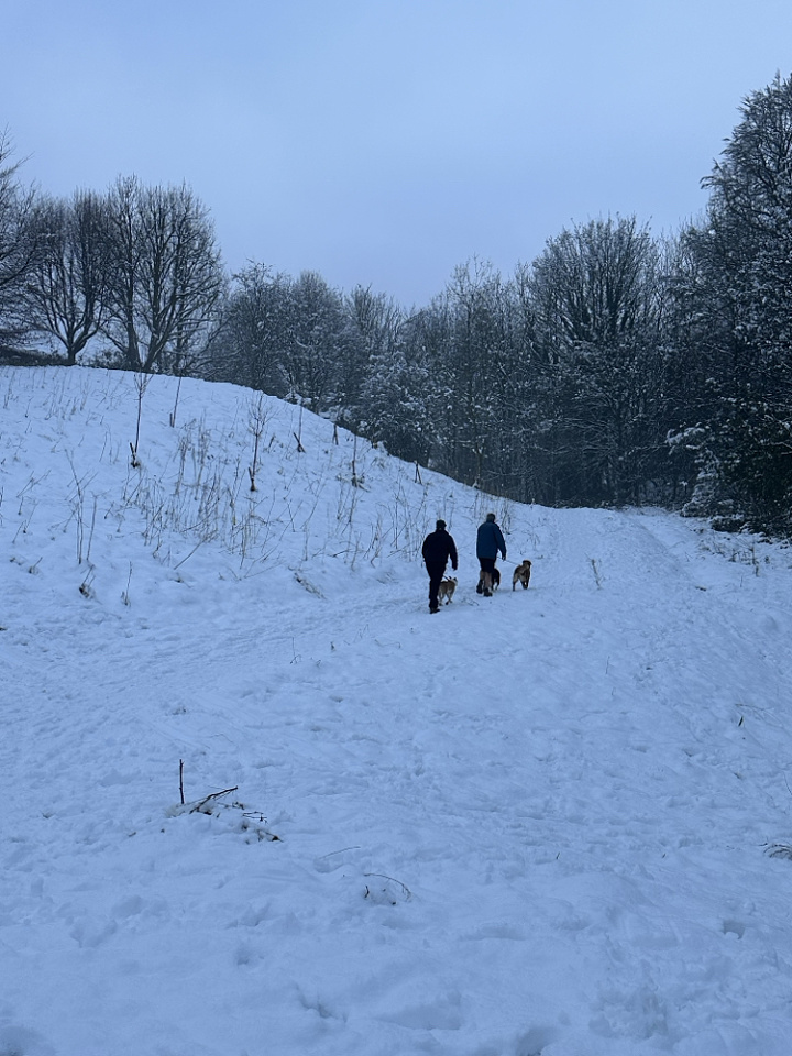 Walking In A Winter Wonderland | ayearinthelife | Blipfoto